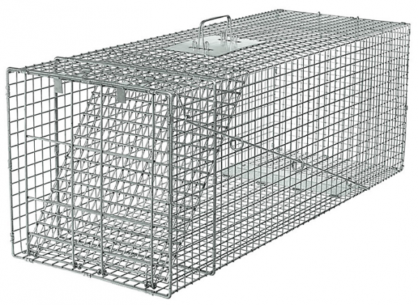 Animal Capture and Removal - Guet-Apens Extermination